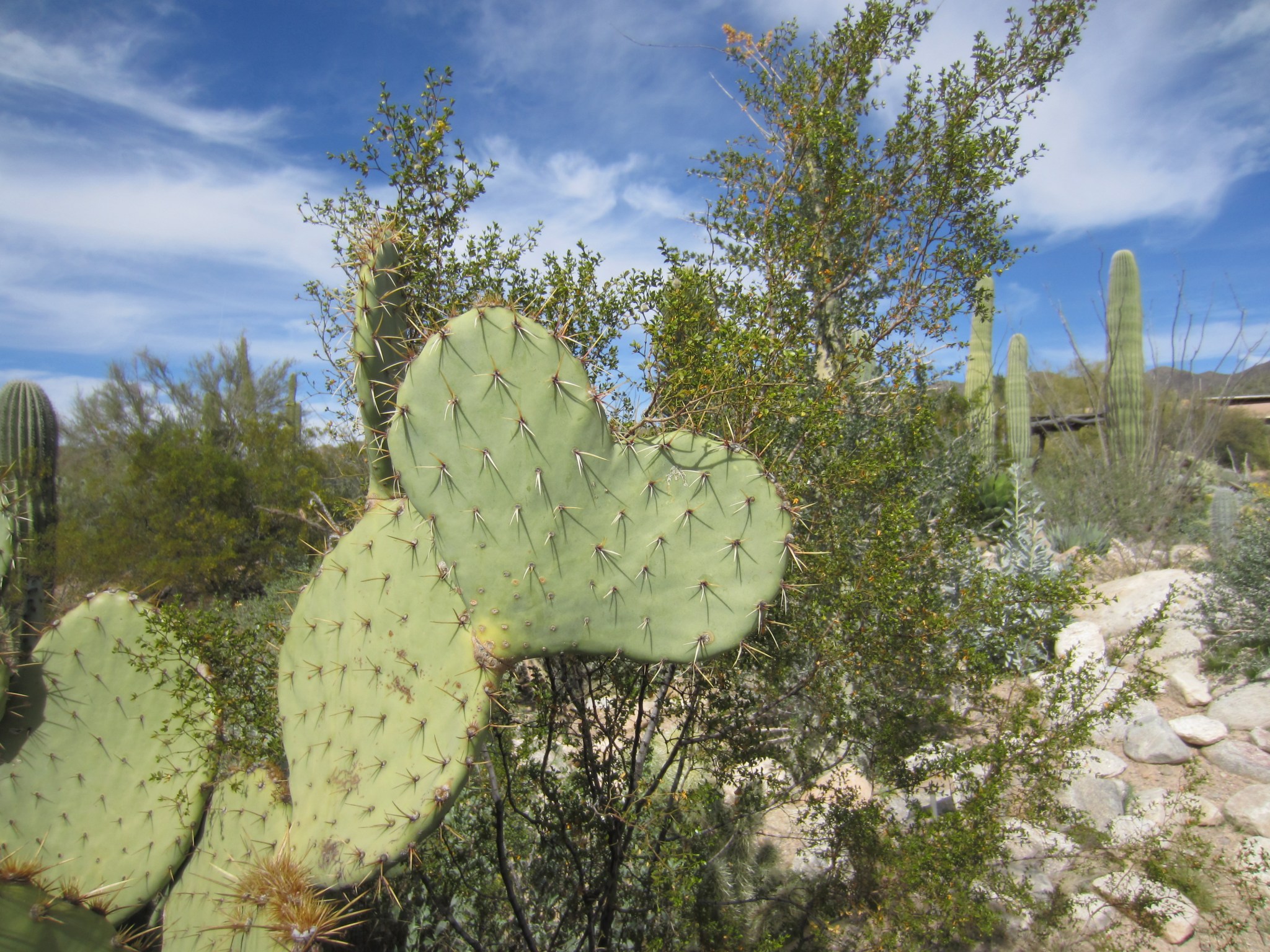 Healing Through Connection | The Inner Work of Physician-Patient ...