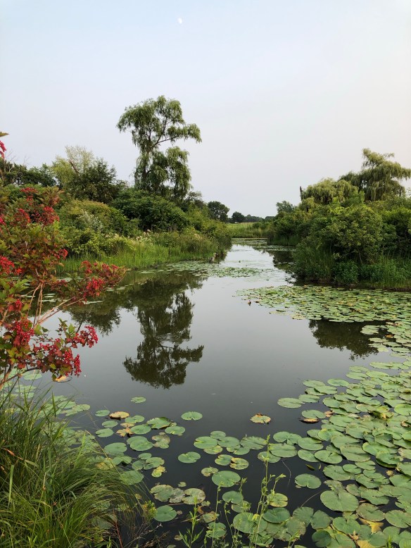 Feel Everything: The Hedonic Stoic | Healing Through Connection